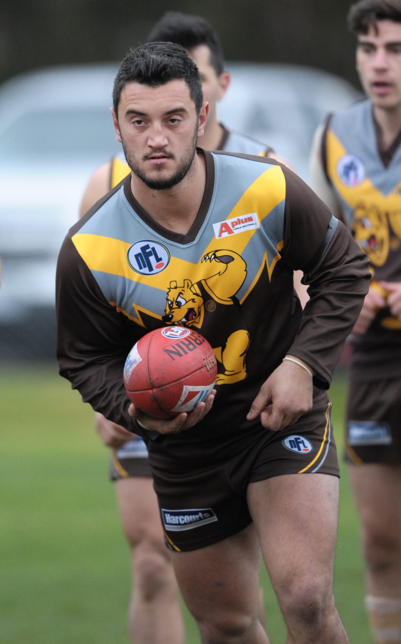 Former players flood back to the Bulls | Northern